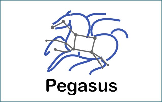 Pegasus Access Support